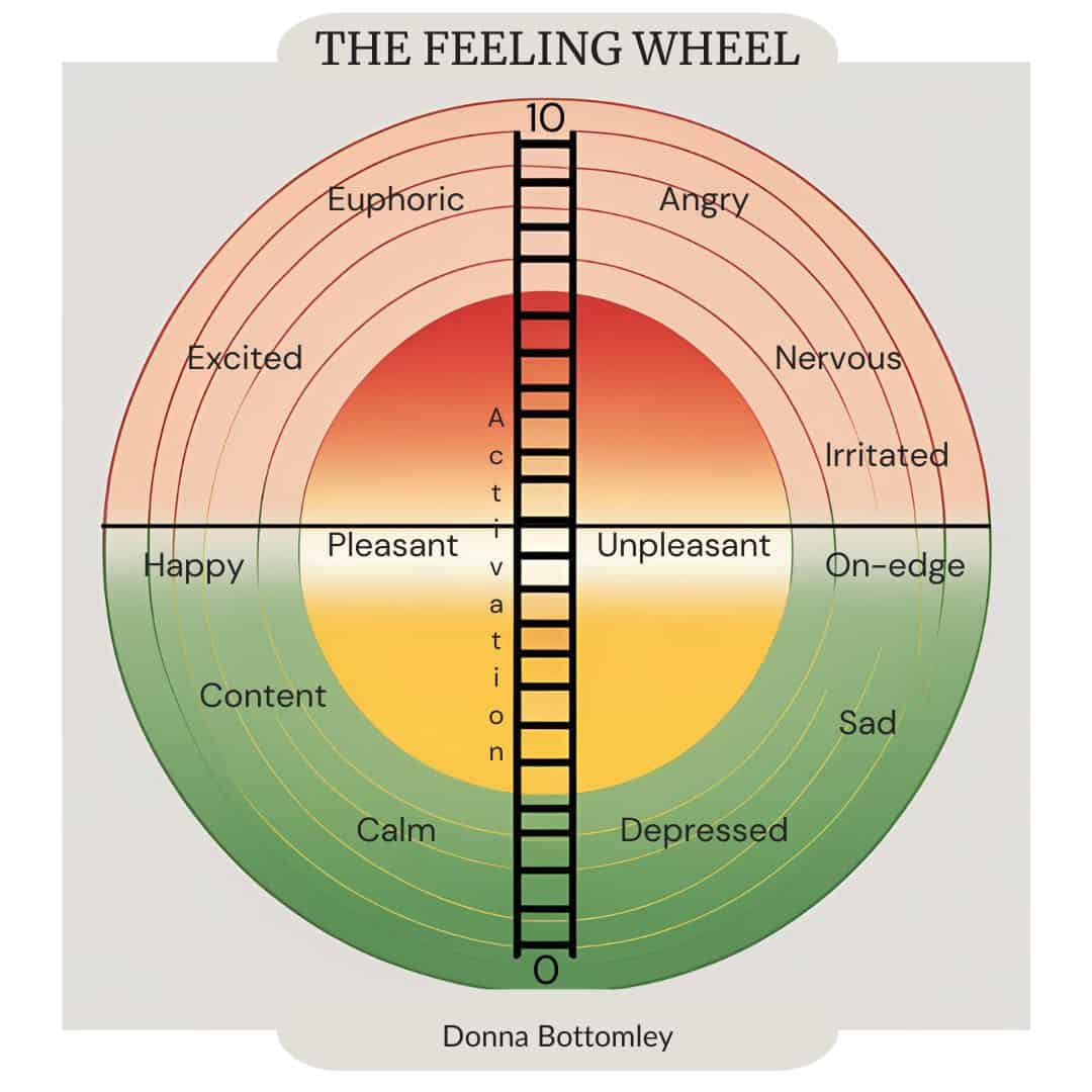 The Feeling Wheel - Donna Bottomley